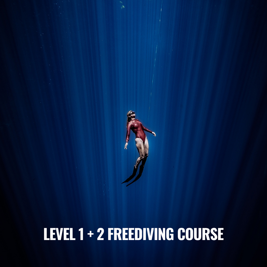 Level 1 Freediving Course Bali, Indonesia | Freedive School in Uluwatu ...