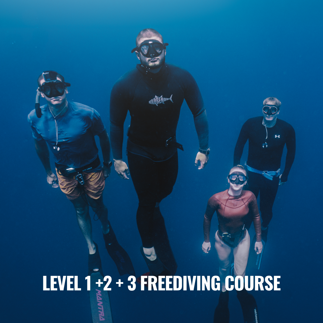 Level 1 Freediving Course Bali, Indonesia | Freedive School in Uluwatu ...