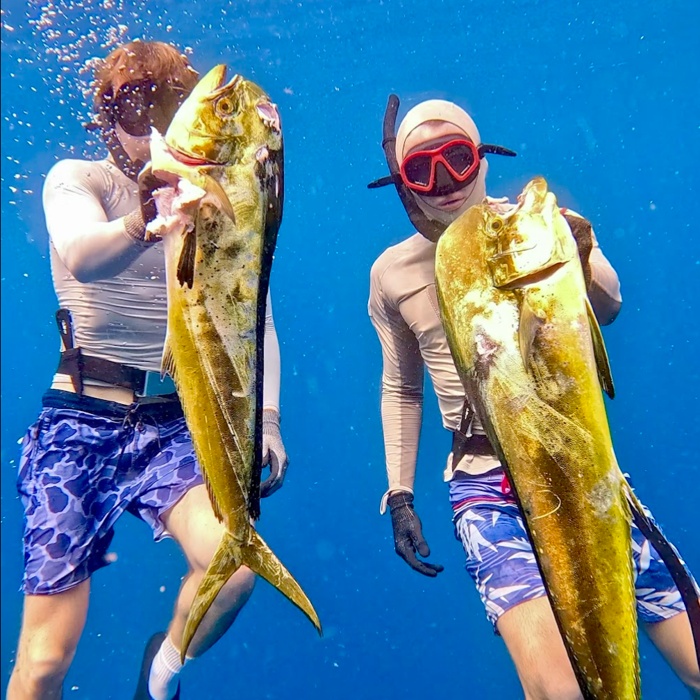 Spearfishing charters in Bali & remote Indonesia – Aquatic Apes