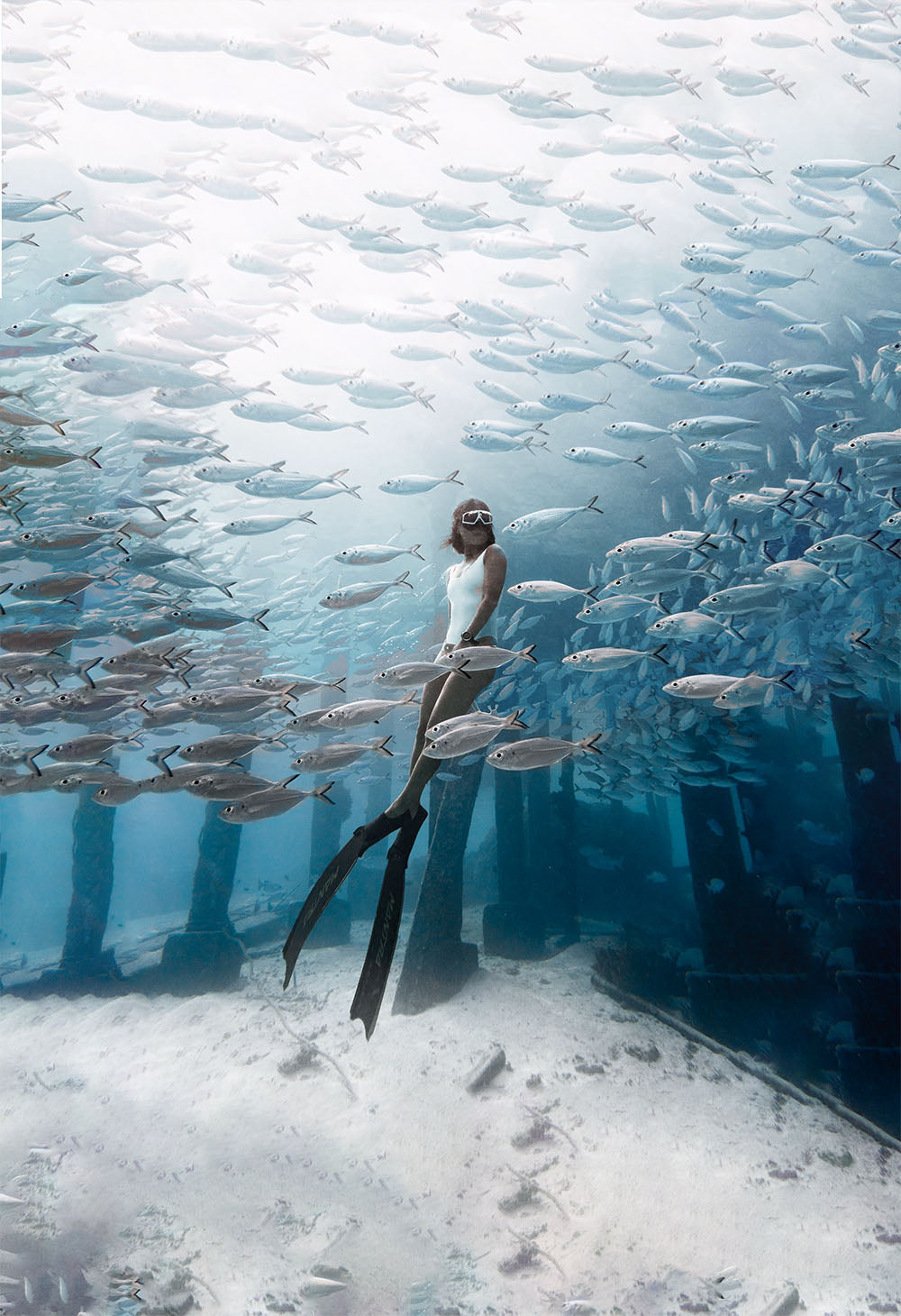 Aquatic Apes: spearfishing, freediving, and exploring the ocean.